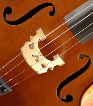 Laminate Cello Rental | J.R. Judd Violins
