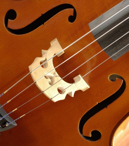 Laminate Cello Rental | J.R. Judd Violins