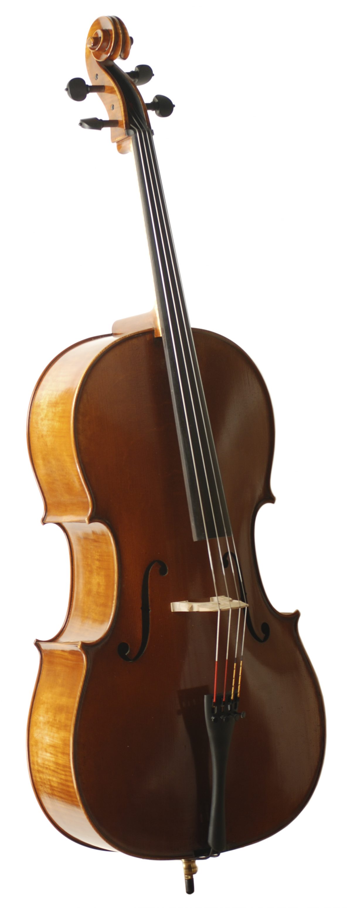 Heinrich Gill X-5 Cello – Gorgeous German Cello | J.R. Judd Violins