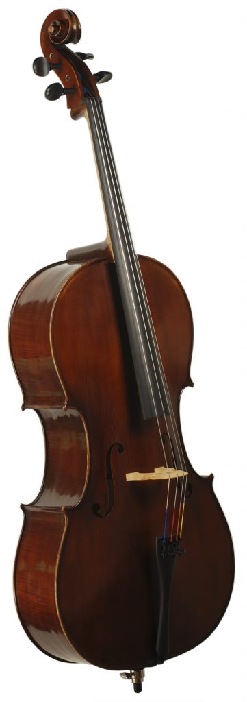 Eastman 30th Anniversary Model VC830 Cello | J.R. Judd Violins