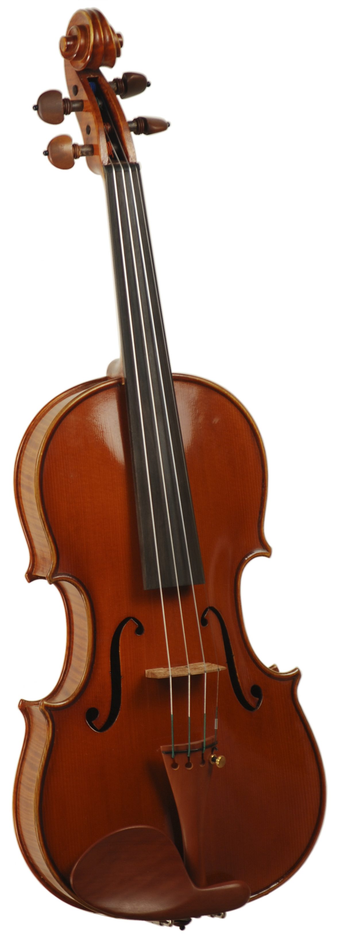 Gorgeous Modern Italian Violin by – Mario Gadda, 1995 | J.R. Judd Violins