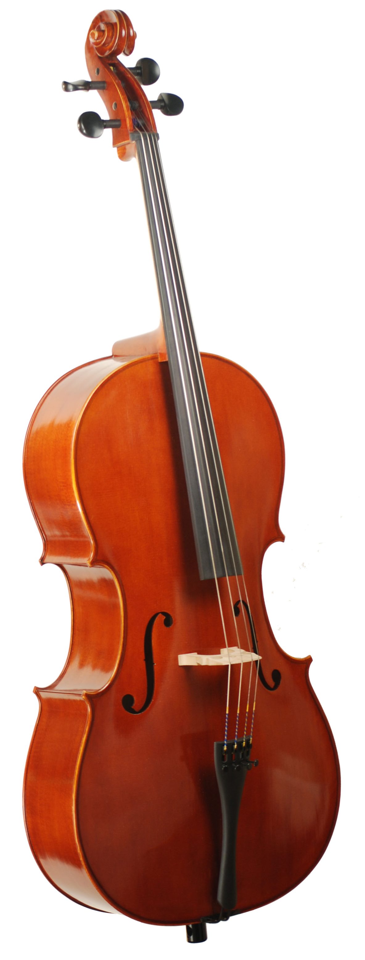 Eastman 30th Anniversary Model VC830 Cello | J.R. Judd Violins