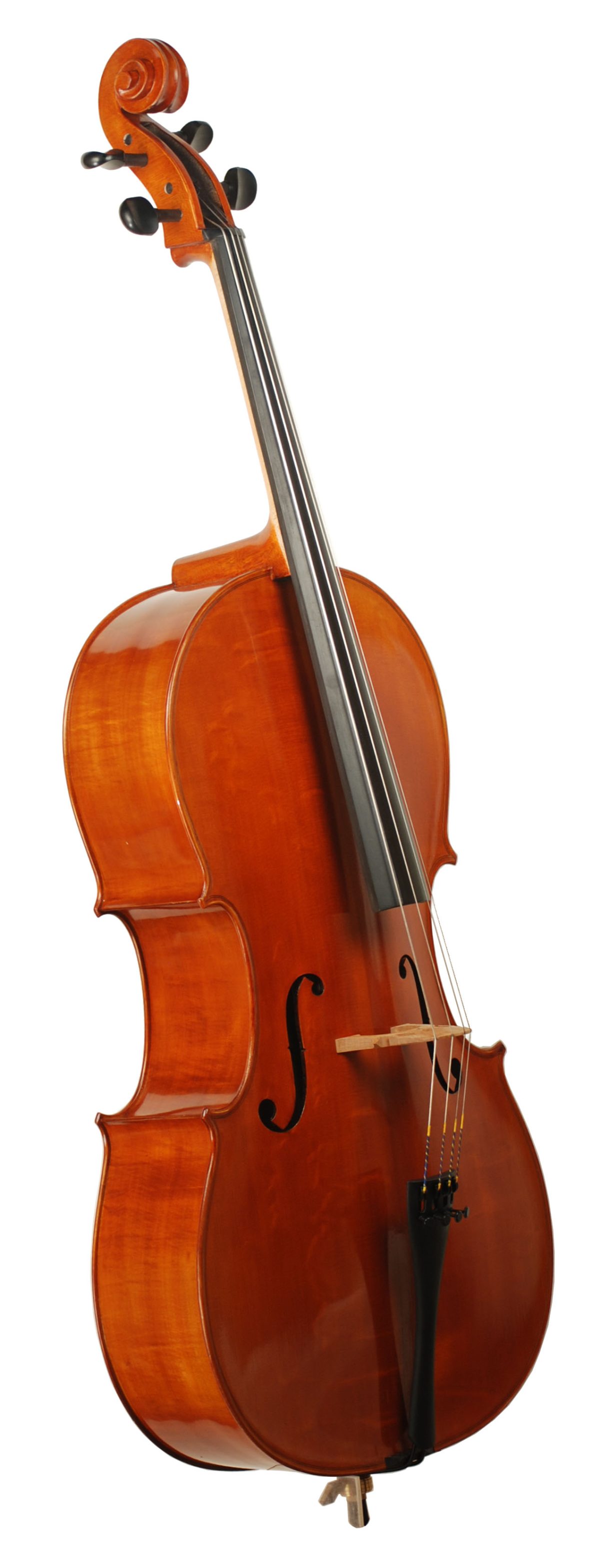 Eastman Model 200 Cello | J.R. Judd Violins