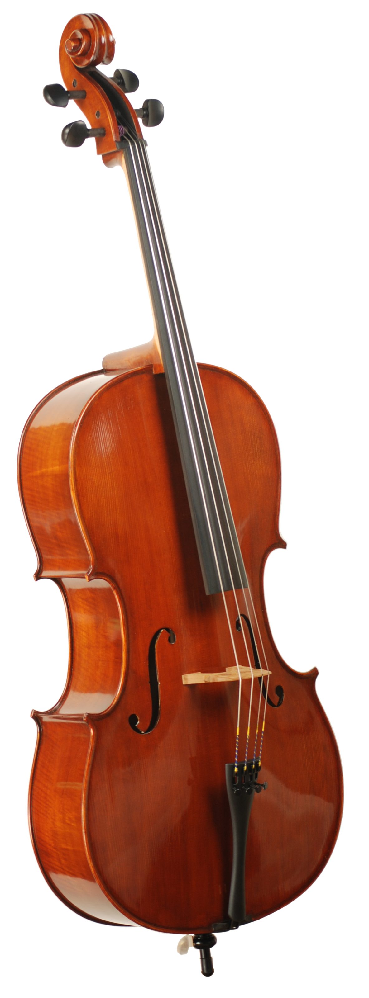 Andreas Eastman Model 305 7/8ths Size Cello | J.R. Judd Violins
