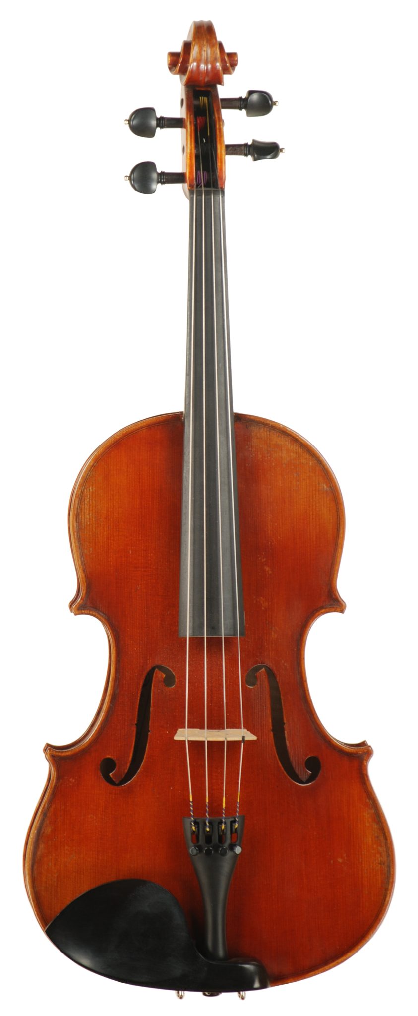 Eastman 605 15 1/2″ Tertis Viola | J.R. Judd Violins