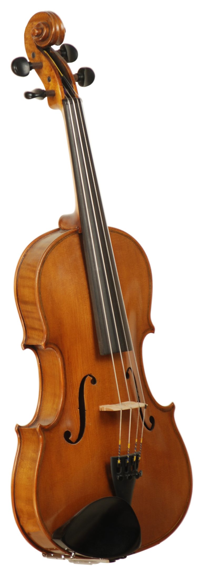 Eastman Model 605 15 1/2″ Viola | J.R. Judd Violins
