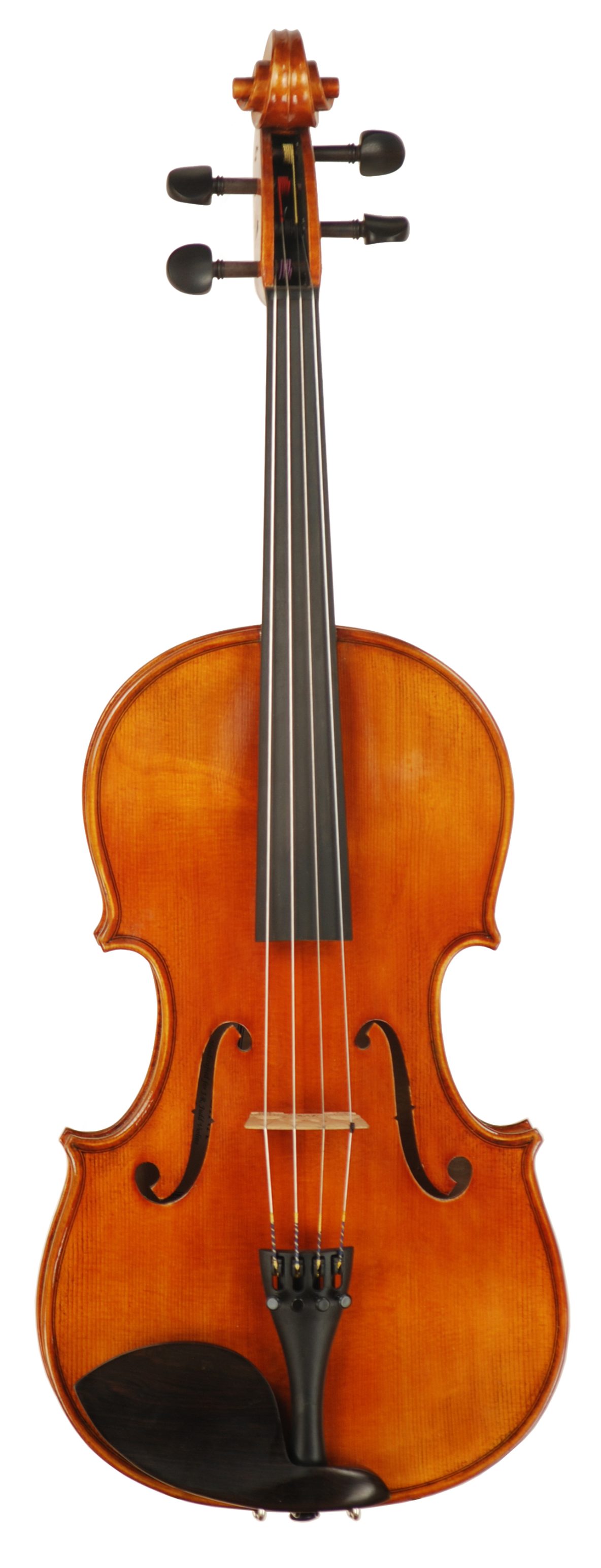Carolina Series 15 1/2″ Viola | J.R. Judd Violins