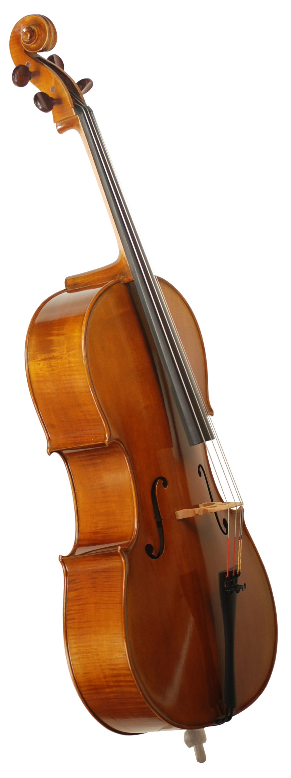 Sacconi Cello- Fantastic Sound! | J.R. Judd Violins