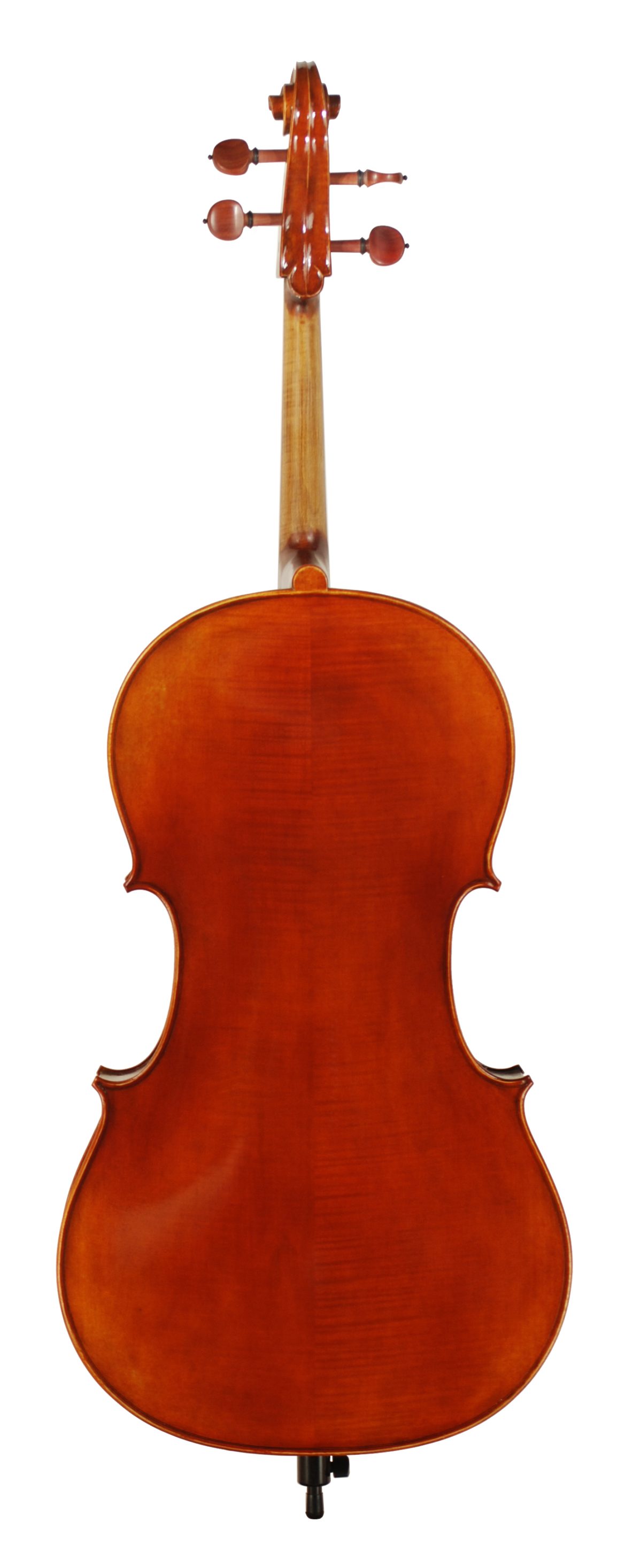 David Nisle 4/4 Size Model 600 Cello | J.R. Judd Violins