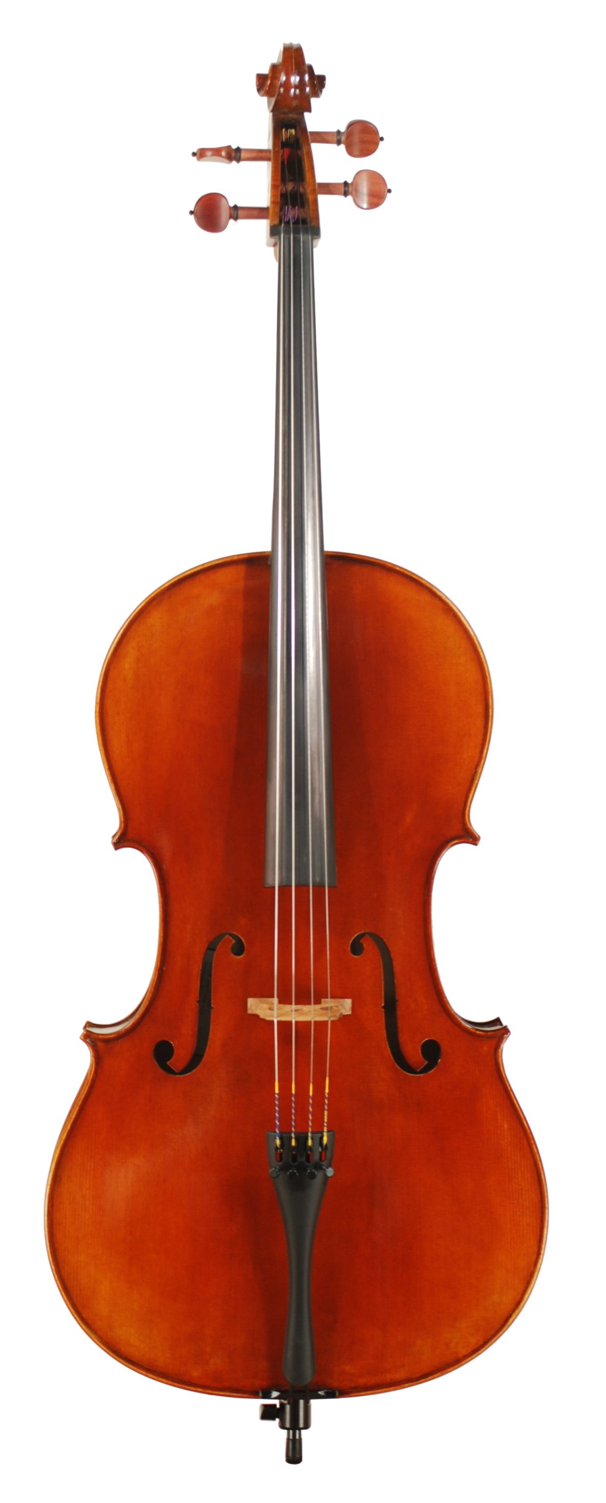 David Nisle 4/4 Size Model 600 Cello | J.R. Judd Violins