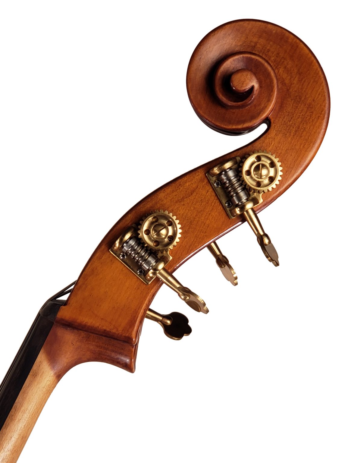 Samuel Shen Model 200 Rogeri Model Bass | J.R. Judd Violins