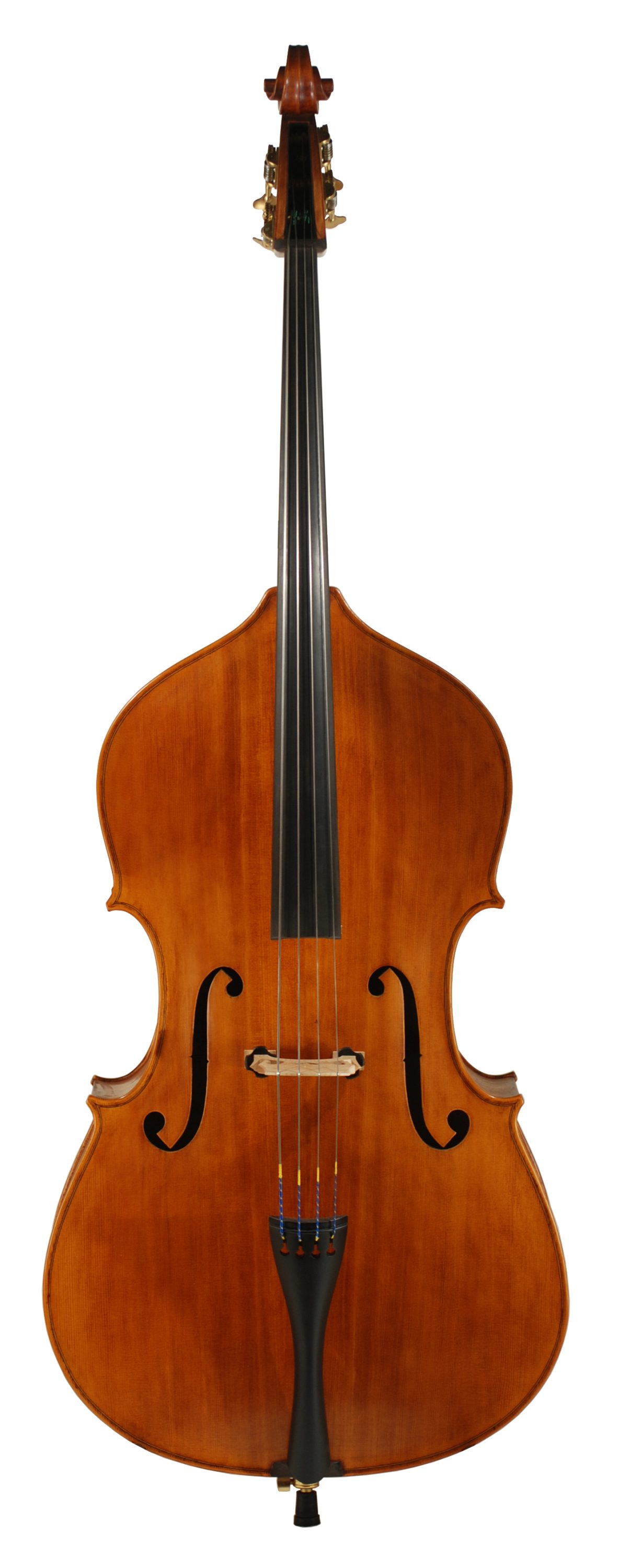 Samuel Shen Model 200 Rogeri Model Bass | J.R. Judd Violins