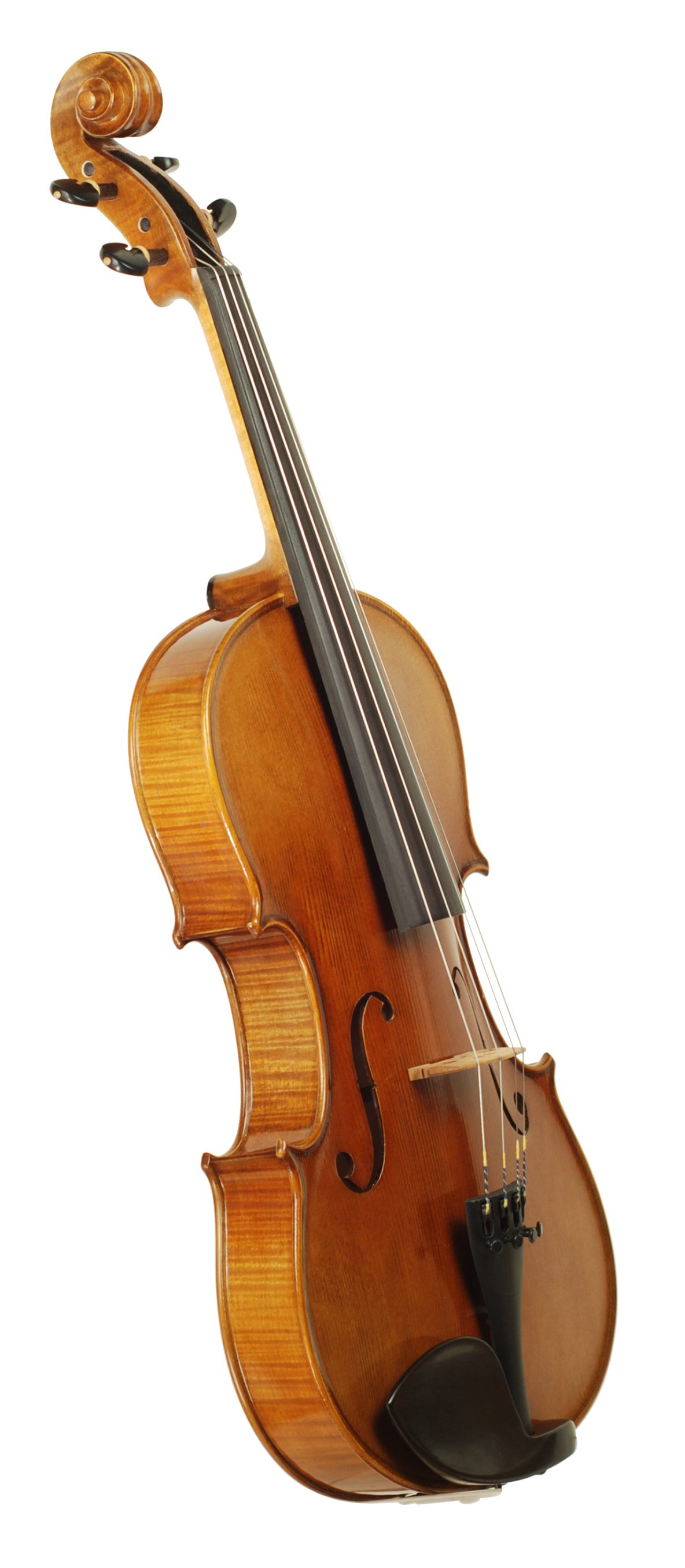 Carolina Series 16 1/2″ Viola | J.R. Judd Violins