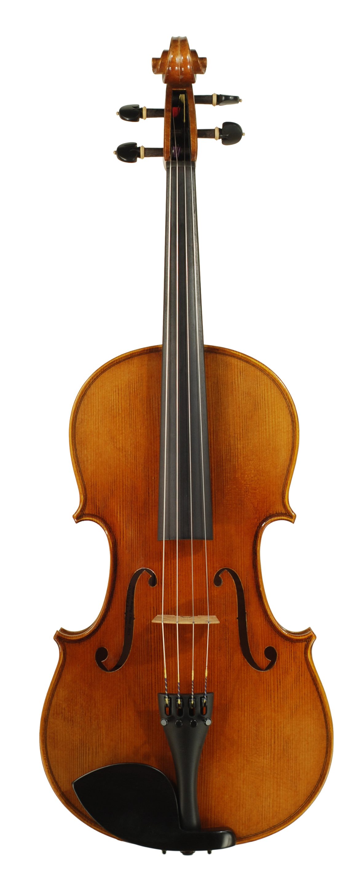 Carolina Series 16 1/2″ Viola | J.R. Judd Violins